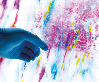 NEUROSPIN IMAGE FOLDER - ANTI-FORM | ANTI-FORM