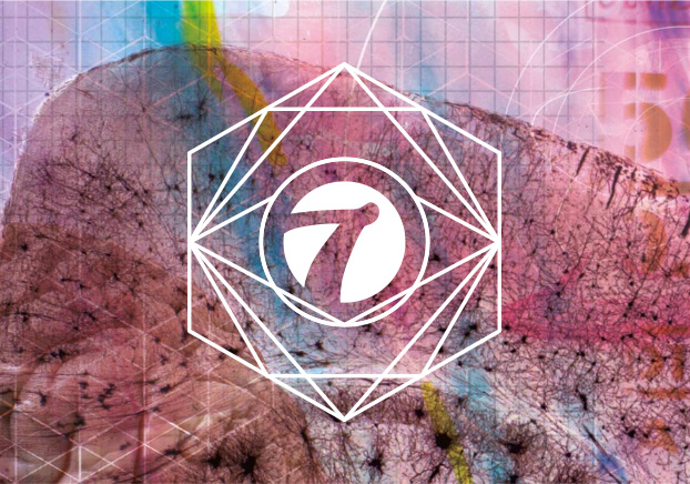 NEUROSPIN.AT | ANTI-FORM